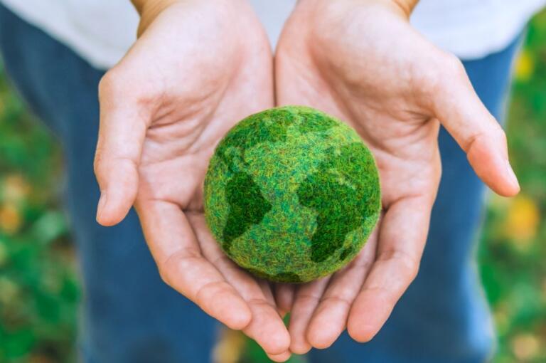 Theme of Environment Day 2024: Focus on Land Restoration - Keralam ...