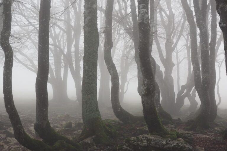 Most Haunted Places in Canada: Exploring the Supernatural - Keralam ...